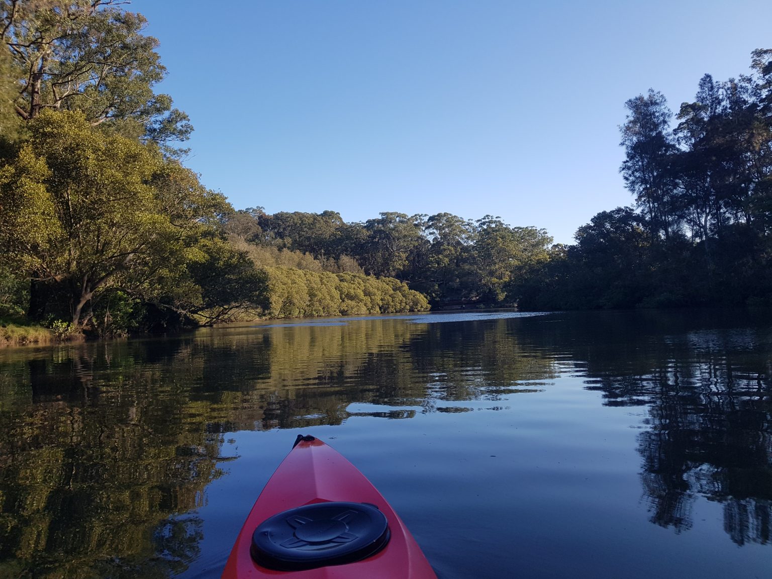 The Lane Cove River – James Crisp
